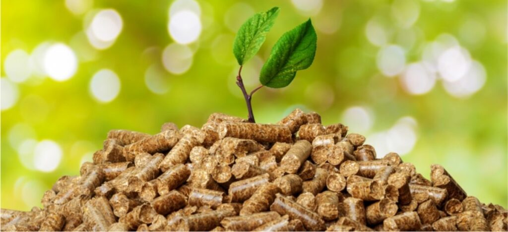 Biomasse : Source d'énergie renouvelable